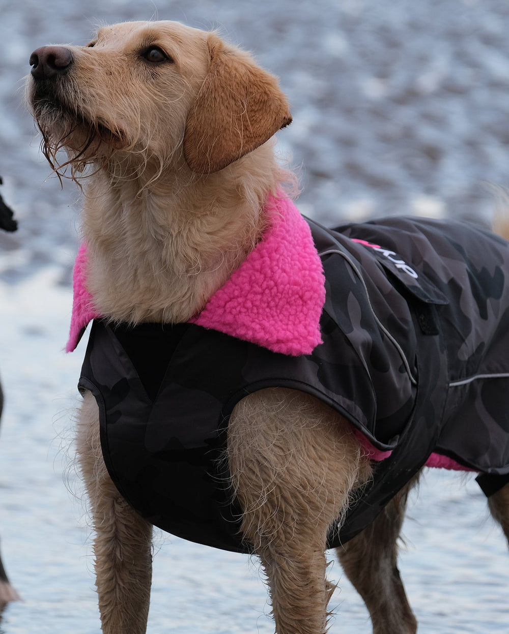 Black Camo Pink Dog Coat | Dryrobe® – Dryrobe® Europe